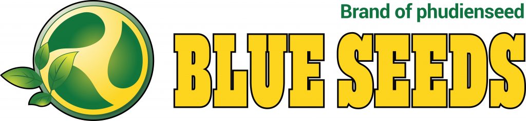 Trang chủ - Blueseeds